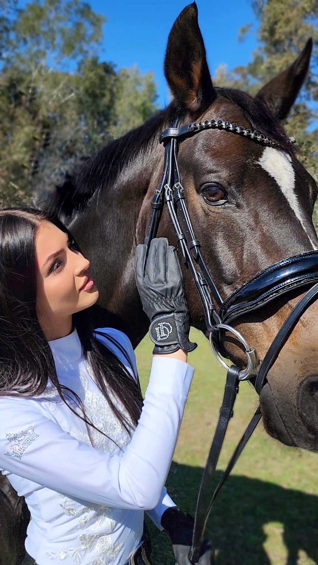 Horse Equipment & Gear | Equestrian Horse Accessories