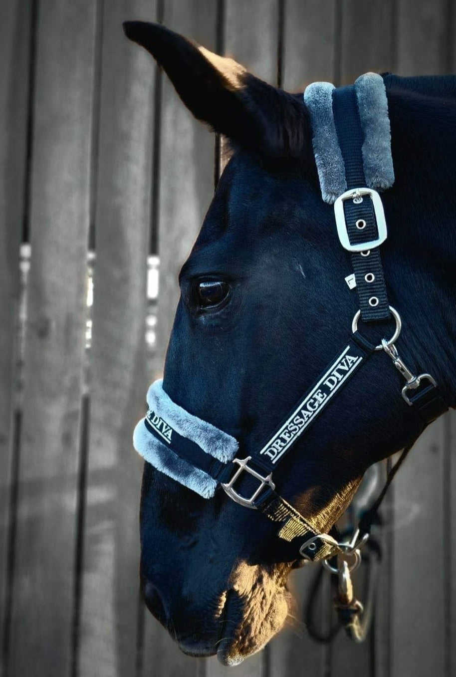 The Dressage Diva | Unique Boutique Equestrian Wear